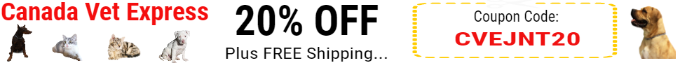CanadaVetExpress Coupons & Pet Supplies 2022 ~ Budget Pet Stores